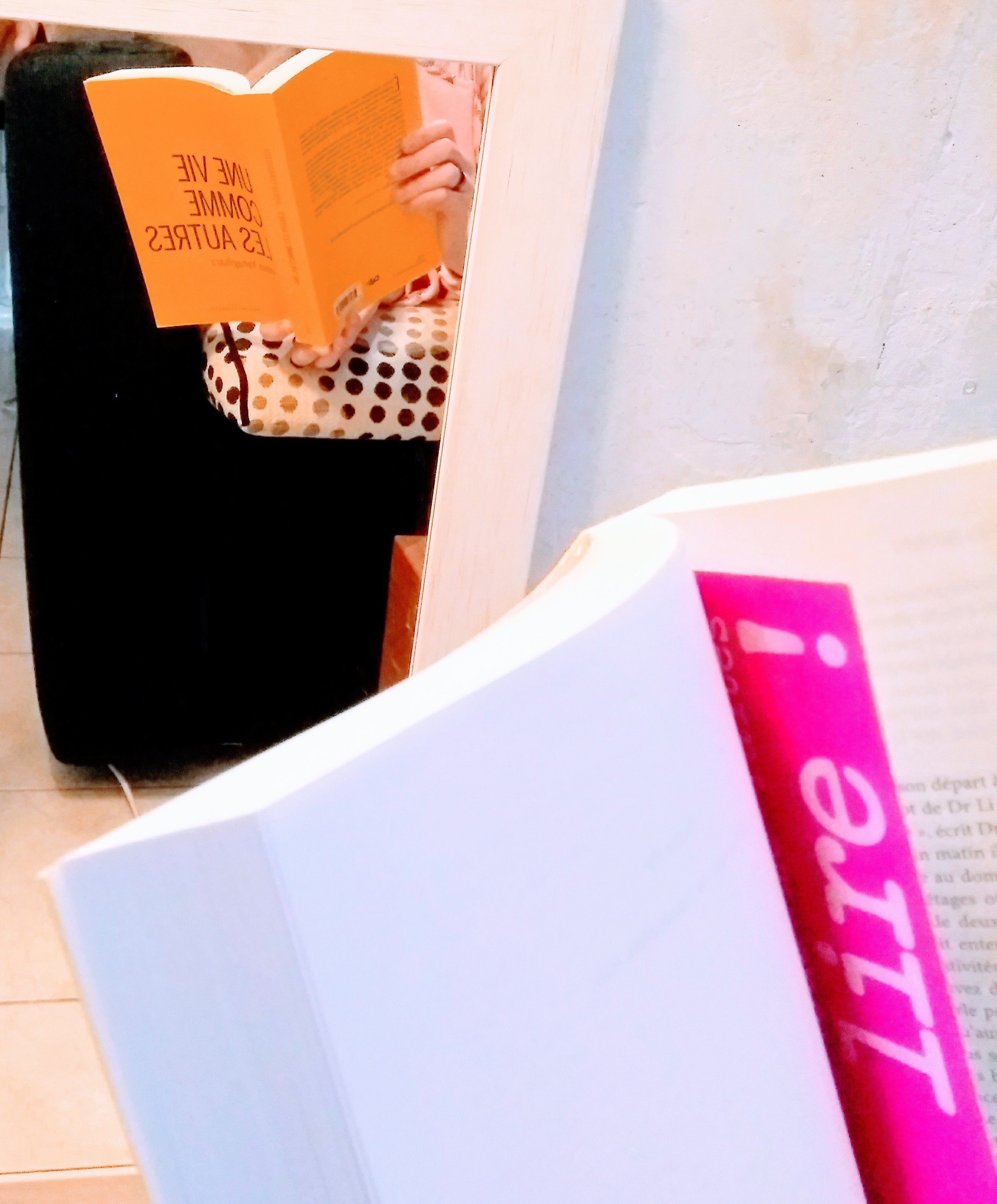 Reading-in-progress ! – Mes p'tits lus – Blog littéraire